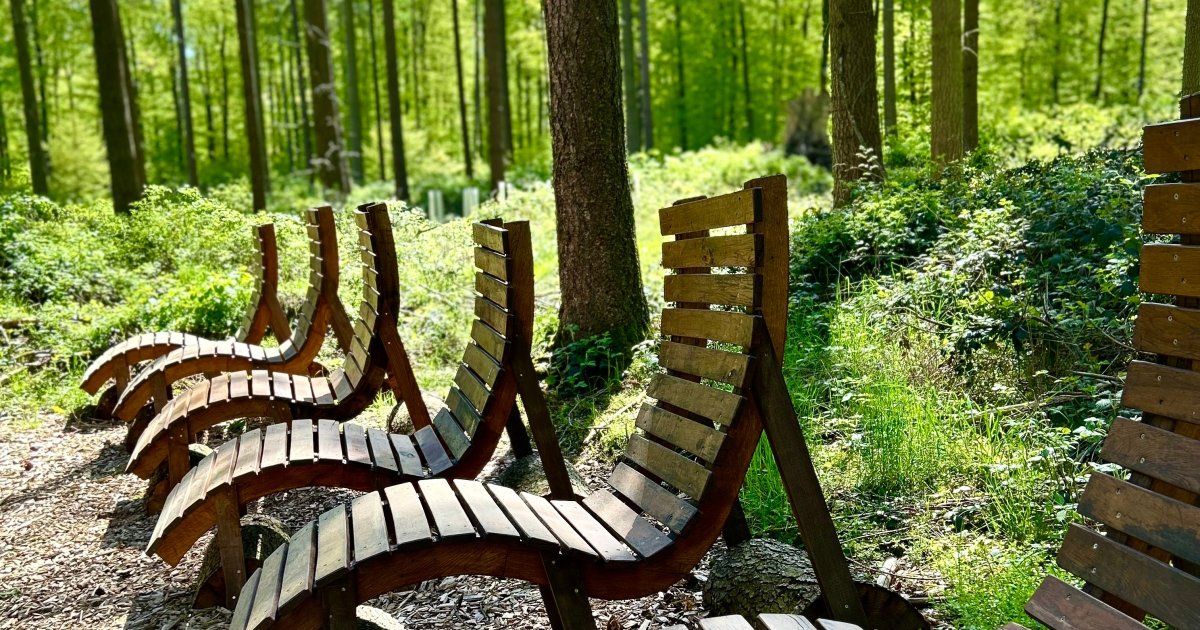 Entspannung und Gesundheit im Kur- und Heilwald Lahnstein | Stadt Lahnstein